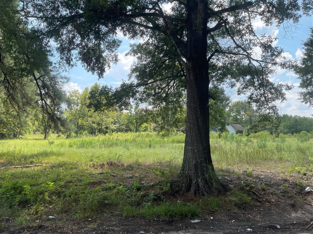 10100 Plum Grove Rd, CLEVELAND, TX 77327 - HAR.com