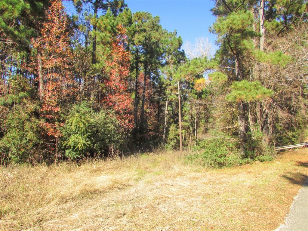 0 Old Groveton Rd, ONALASKA, TX 77360 - HAR.com