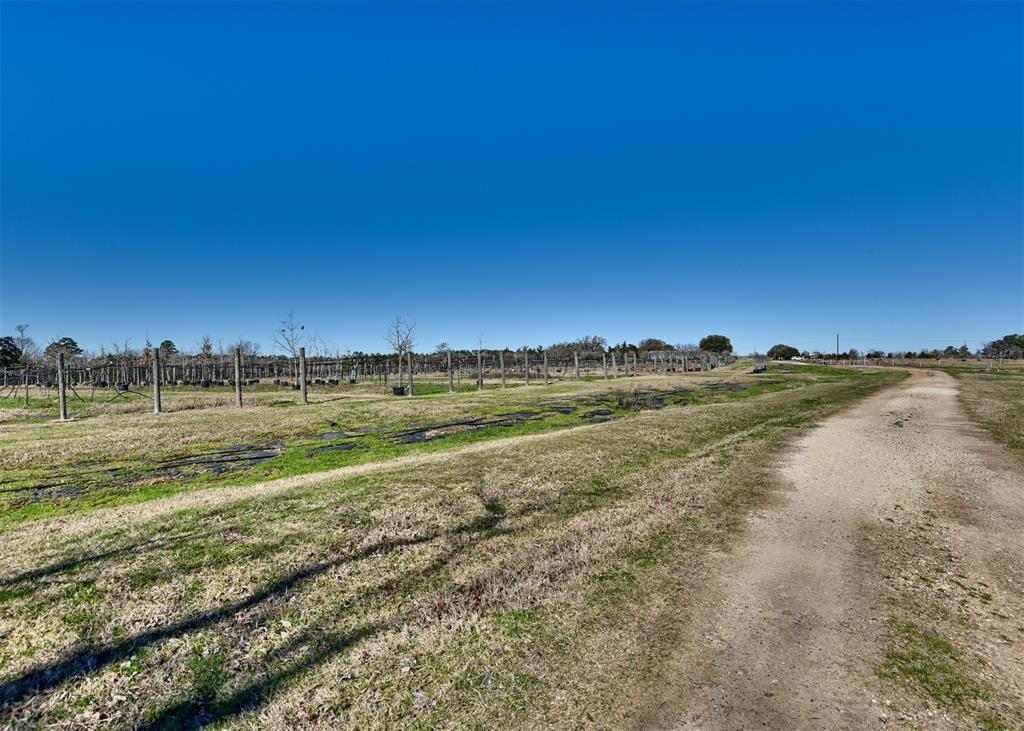 124 Sandy Creek Nursery Rd, HUNTSVILLE, TX 77340 - HAR.com