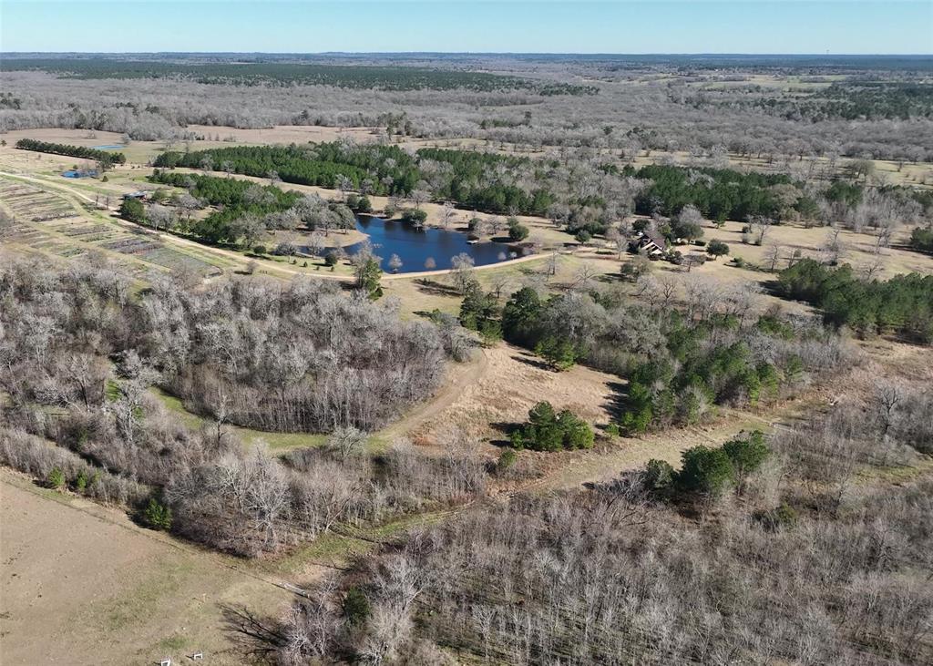 124 Sandy Creek Nursery Rd, HUNTSVILLE, TX 77340 - HAR.com