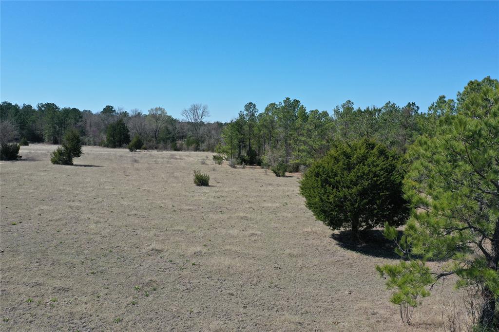 0 Moffit Springs Rd, HUNTSVILLE, TX 77320 - HAR.com